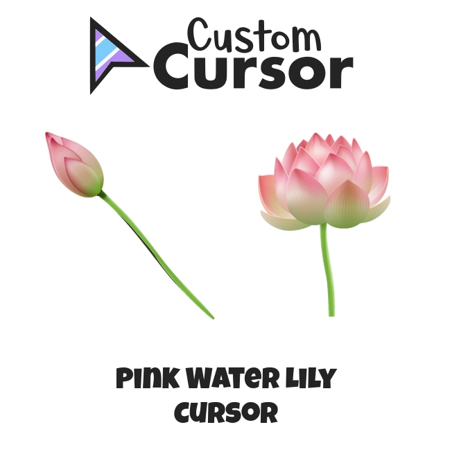 Pink Water Lily cursor – Custom Cursor