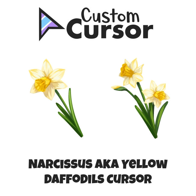Narcissus aka Yellow Daffodils cursor – Custom Cursor