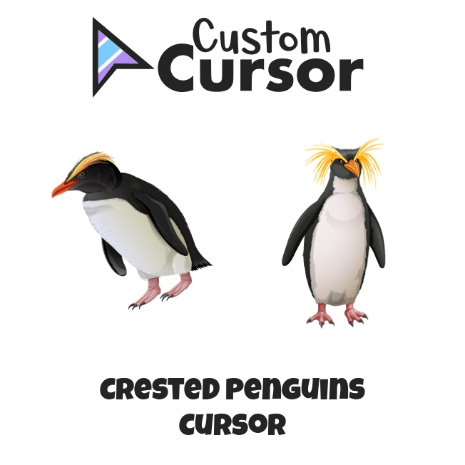 Crested Penguins cursor – Custom Cursor