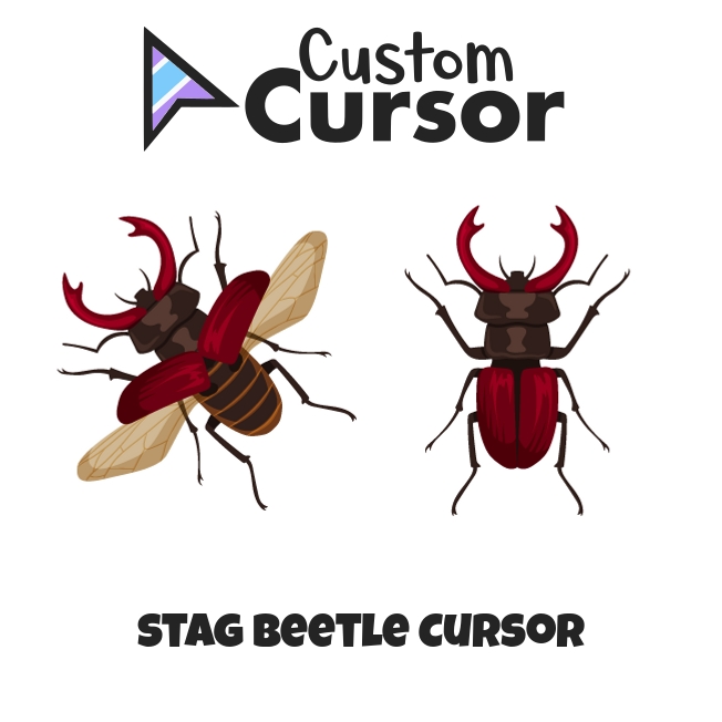 Stag Beetle cursor – Custom Cursor